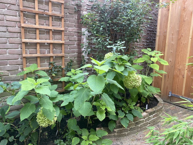 traza – traza – tuinontwerp + tuinhuizen + binnenhuisarchitectuur + verbouwingen in Amsterdam ...