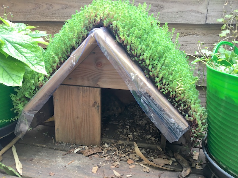 traza – traza – tuinontwerp + tuinhuizen + binnenhuisarchitectuur + verbouwingen in Amsterdam ...