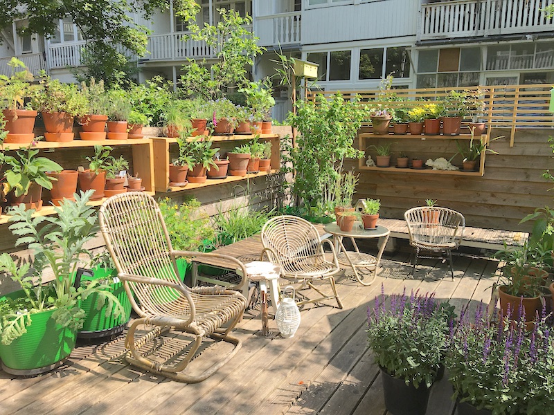traza – traza – tuinontwerp + tuinhuizen + binnenhuisarchitectuur + verbouwingen in Amsterdam ...