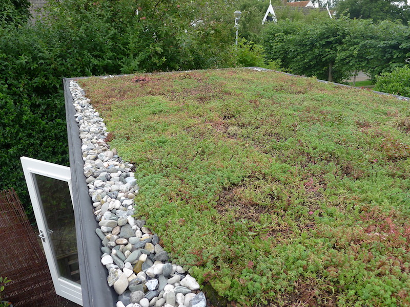 traza – traza – tuinontwerp + tuinhuizen + binnenhuisarchitectuur + verbouwingen in Amsterdam ...