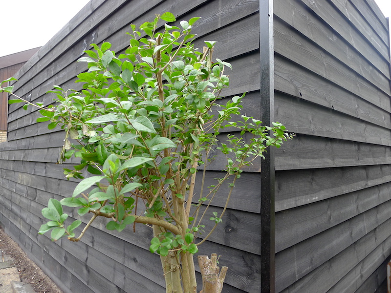 traza – traza – tuinontwerp + tuinhuizen + binnenhuisarchitectuur + verbouwingen in Amsterdam ...